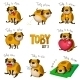 Cartoon Dog Toby. Set 2, Vectors | GraphicRiver