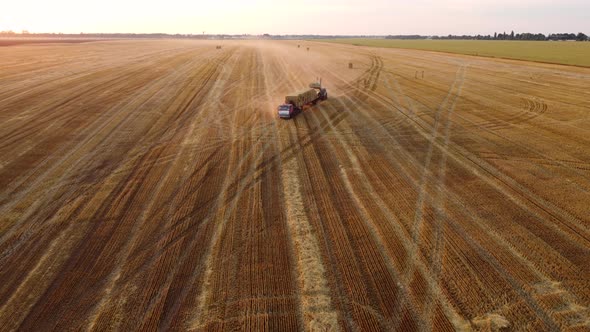 Tractor Loader Loads a Haystack Into a Truck Loaded with Haystacks ...