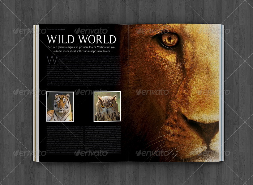 Regular Life Magazine Template - 40 Pages, Print Templates | GraphicRiver