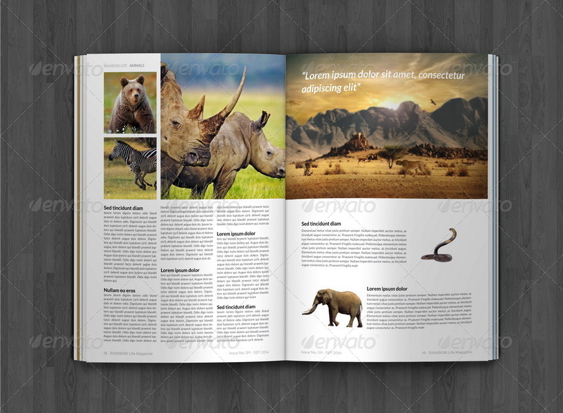 Regular Life Magazine Template - 40 Pages, Print Templates | GraphicRiver