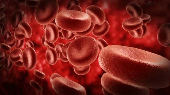 Blood Cells, Motion Graphics | VideoHive