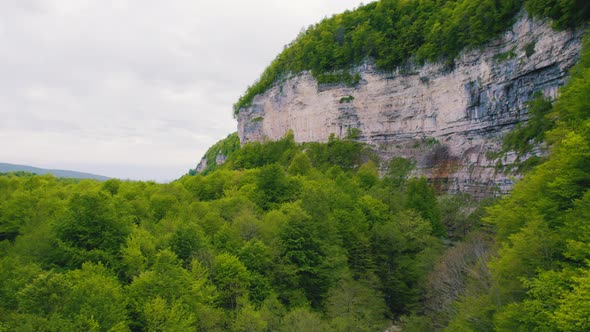 Ascending Shot of a High Cliff Covered with Green Vegetation, Stock Footage