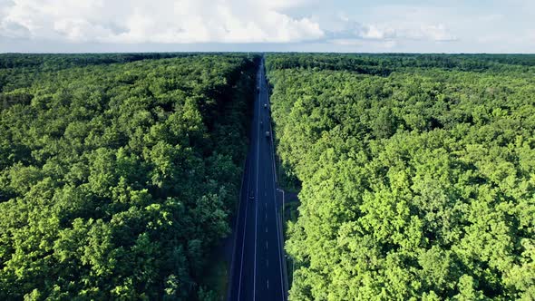 Car Riding in Forest Road During Suny Day in Europe, Stock Footage