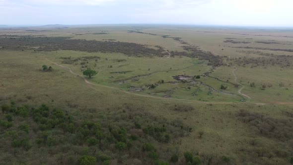 Aerial view of Masai Mara, Stock Footage | VideoHive