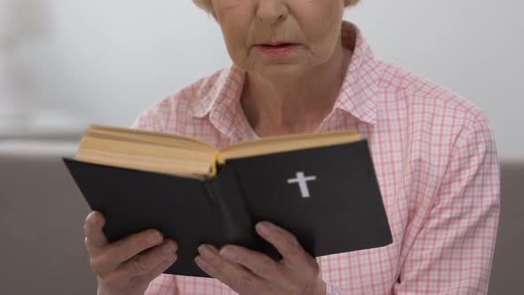 Religious Old Lady Reading Holy Bible, Faith and Belief, Christianity ...