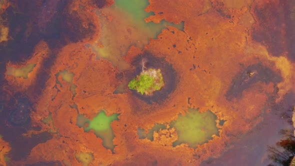 The Toxic Lake is Located Next to Green Trees, Stock Footage | VideoHive