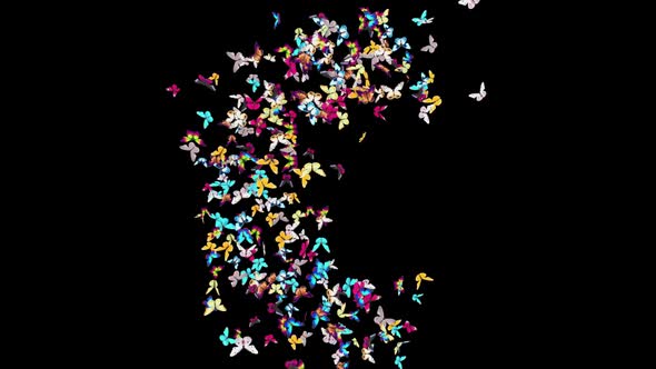 01 Butterfly HD, Motion Graphics | VideoHive