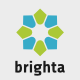Brighta Logo, Logo Templates | GraphicRiver