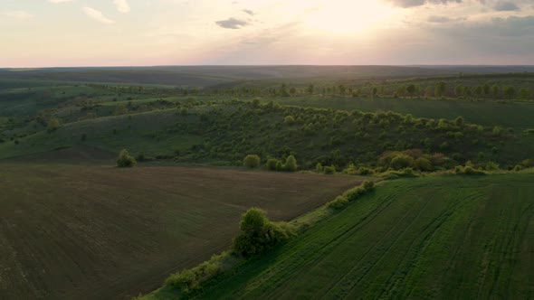 Aerial video over spring green fields before sunset, Stock Footage