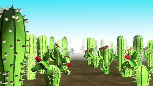 Cartoon Cactus 01 4k , Motion Graphics | VideoHive