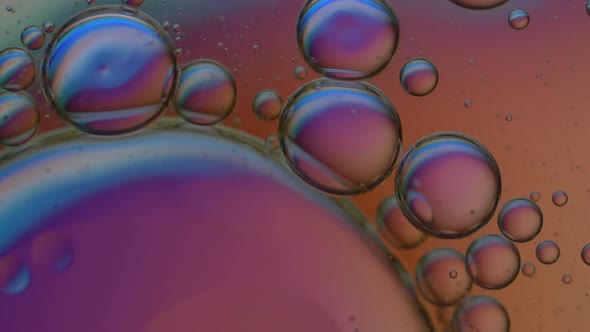 Macro: Microscopic multicolored Fluid Particles. Oil Bubbles in Water ...