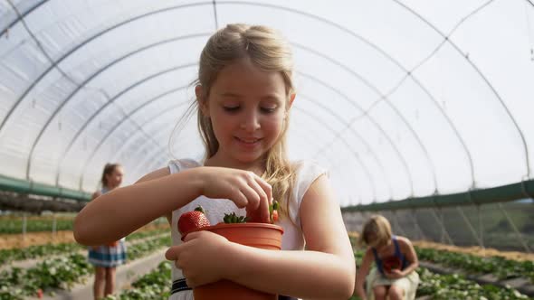 Girl examining strawberries in the farm 4k, Stock Footage | VideoHive