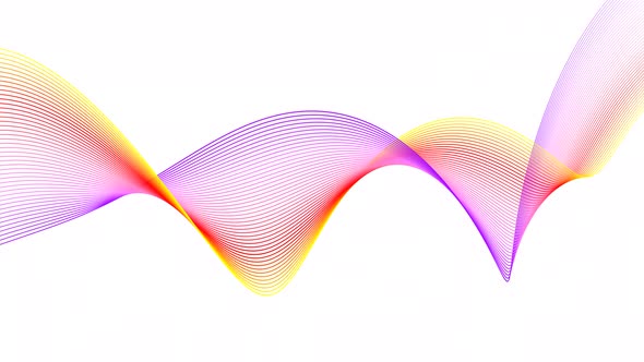 Purple Red Yellow Shape Line Wave Animated On White Background, Motion ...