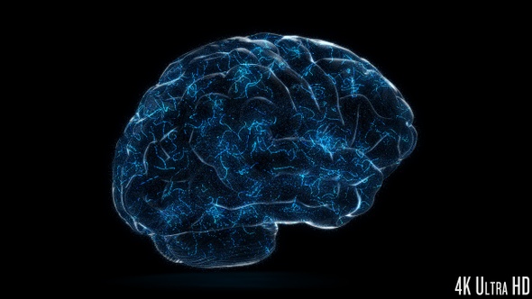 4K Digital Technology of a Human Brain Concept, Motion Graphics | VideoHive