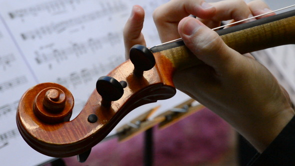 Playing Viola on a Concert, Stock Footage | VideoHive