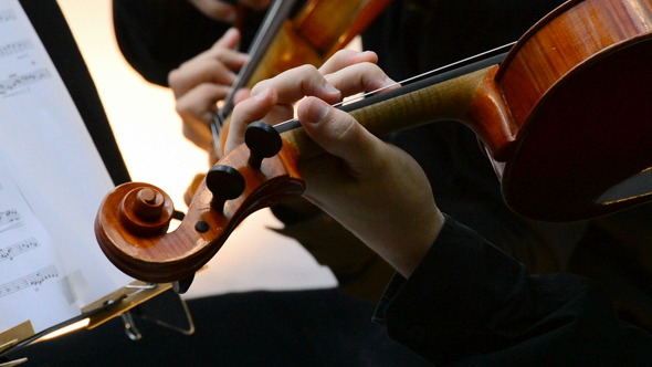 Violins in Action on a Concert, Stock Footage | VideoHive