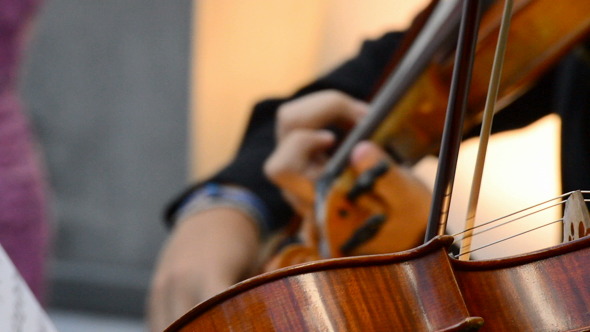 Violins Playing on a Concert, Stock Footage | VideoHive