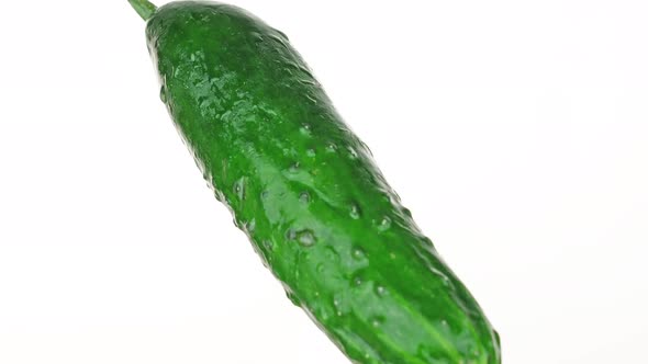 Large Wet Cucumber with Small Bumps Turns Around on White, Stock Footage