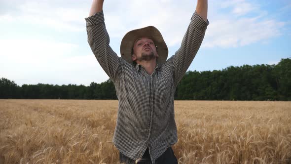 Annoyed Farmer Running To Camera Through the Wheat Field and Trying To ...