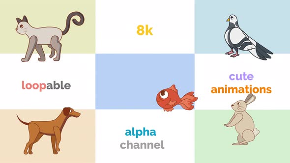 8K Pet Loops Pack 1, Motion Graphics | VideoHive