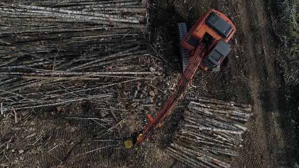 Aerial view of Harvester Cutting Tree Trunk in field near the forest 09 ...