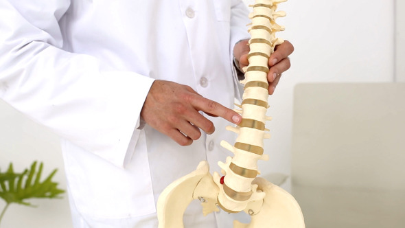 Chiropractor Showing Spine Model To Camera, Stock Footage | VideoHive