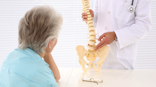 Chiropractor Showing Spine Model To Patient, Stock Footage | VideoHive