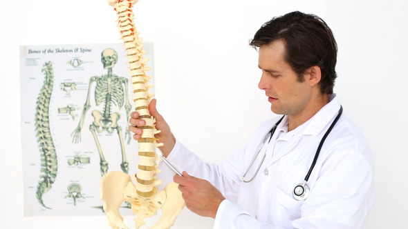 Chiropractor Explaining Spine Model To Camera, Stock Footage | VideoHive