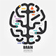 Infographics Vector Brain Design Diagram Line Styl, Infographics ...