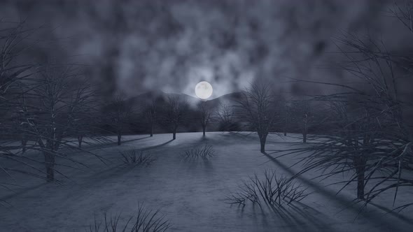 Winter Moonlight, Motion Graphics | VideoHive