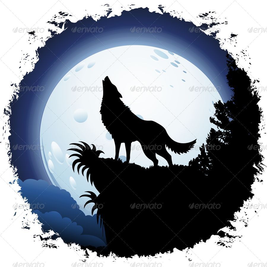 Wolf Howling at Blue Moon, Vectors | GraphicRiver