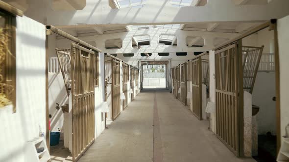 Wooden Horse Stable Hallway, Daylight., Stock Footage | VideoHive
