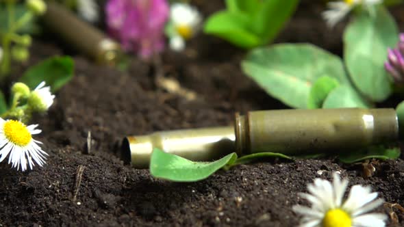 Bullet casings fall to the ground and chamomile flowers. Slow motion ...
