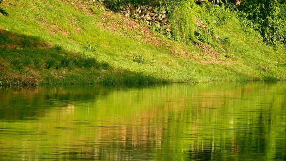 Green Grass River, Stock Footage | VideoHive