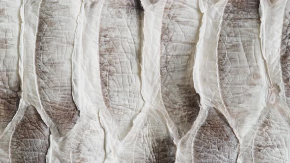 White Snake Leather Closeup Production of Handmade Accessories Made of ...