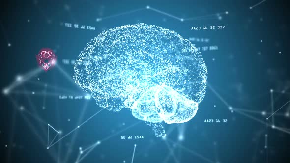 Human brain and plexus structure revolving, Motion Graphics | VideoHive