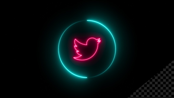 Colorful Neon Twitter Icon, Motion Graphics | VideoHive
