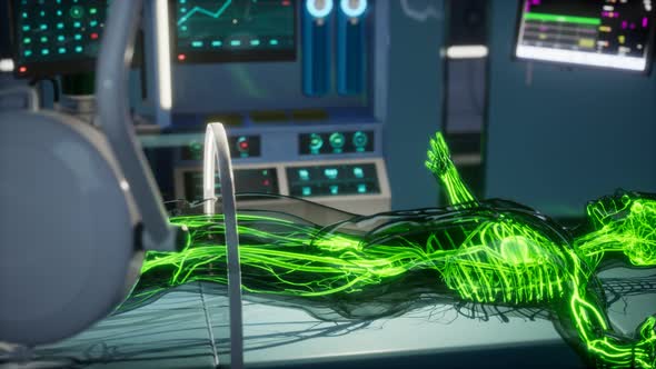 Science Anatomy Scan of Human Blood Vessels, Motion Graphics | VideoHive