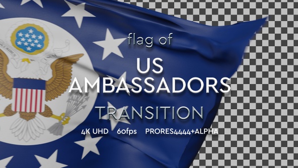 Flag of US Ambassadors transition | UHD | 60fps, Motion Graphics ...