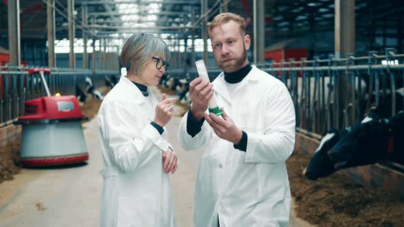 Cowhouse Workers are Observing a Milk Sample in a Tube, Stock Footage