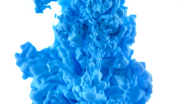 Blue ink dropped in water, Slow Motion, Stock Footage | VideoHive