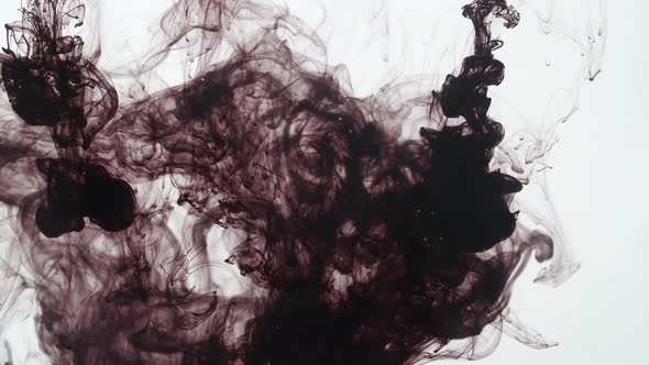Black Ink Drop Into Water On A White Background, Stock Footage | VideoHive