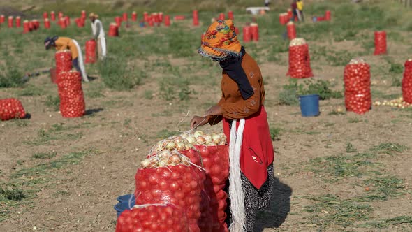 Child Reciting the Holy Quran by stockvideo | VideoHive