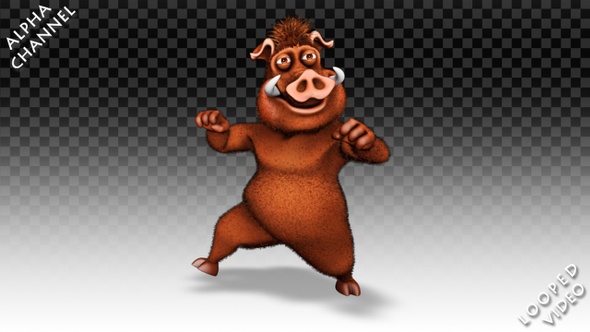 Comic Boar - Dance Catchy, Motion Graphics | VideoHive