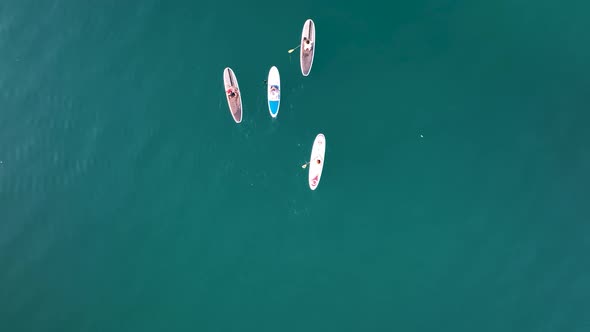 Sup surfing group aerial view 4 K Turkey Alanya, Stock Footage | VideoHive