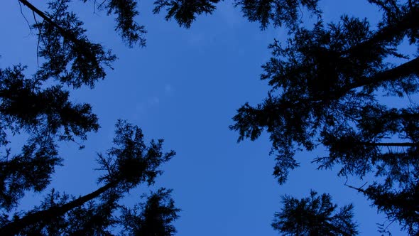 Retro Glitchy 8-Bit Loading Screen by mrdoomits | VideoHive