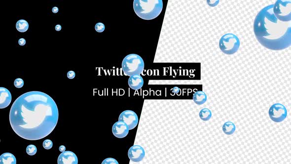 3D Twitter Icon Logo Flying with Alpha, Motion Graphics | VideoHive