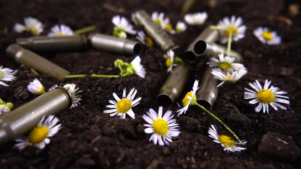 Bullet casings fall to the ground and chamomile flowers. Slow motion ...