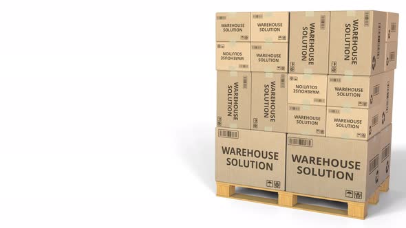 Cartons with WAREHOUSE SOLUTION Text, Motion Graphics | VideoHive
