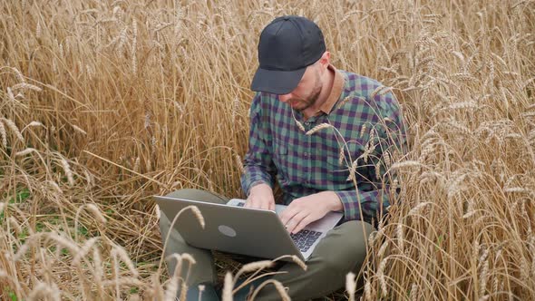 Man Ecologist Sits in a Field and Works at a Laptop Remote Work and ...